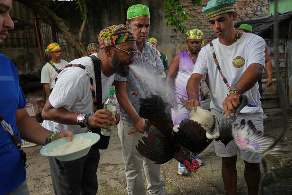 Santeros cubanos realizan rituales para pedir paz y salud en contexto ...