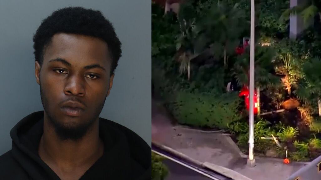 Teen appears in Miami-Dade bond court following fatal crash