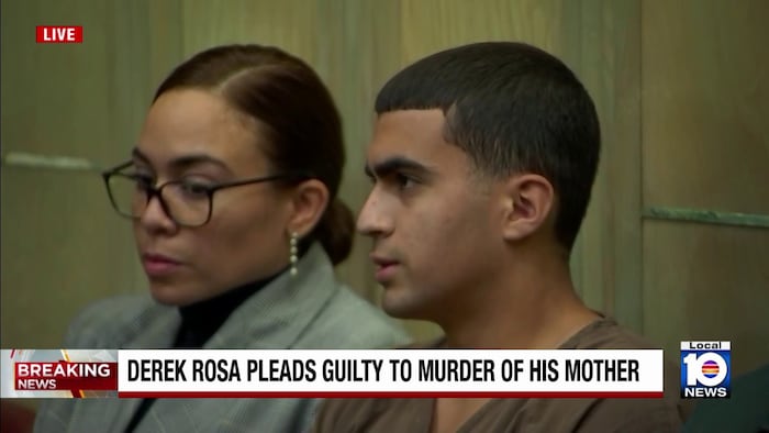 Derek Rosa says 'I'm sorry' after pleading guilty to killing mother ...
