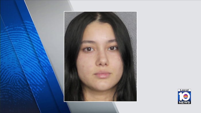 Woman drove 124 mph in Lexus before killing local attorney in I-595 ...